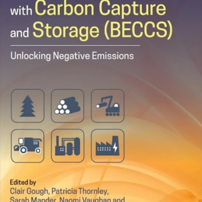 WILEY Biomass Energy with Carbon Capture and Storage (BECCS) - Medical ...